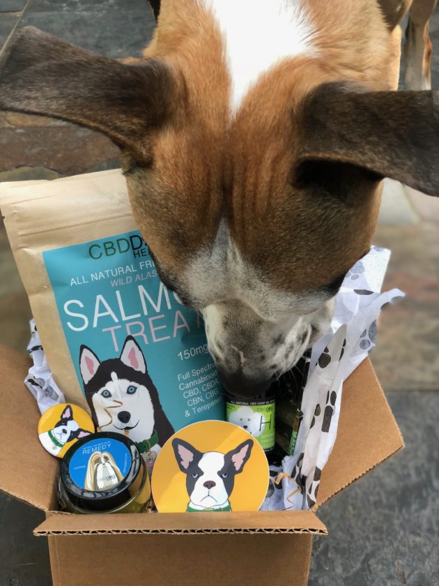 5 CBD Gift Baskets That Just About Anyone Would Want for the Holidays!
